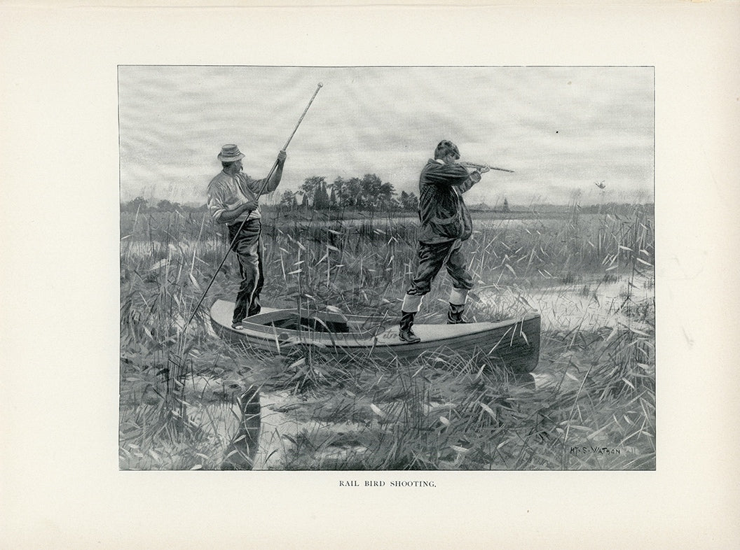 1902 "Rail Bird Shooting" Lithograph - Antique Henry Sumner Watson Hun ...